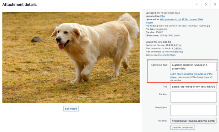 Why you need to put Alt Text on your Web Images